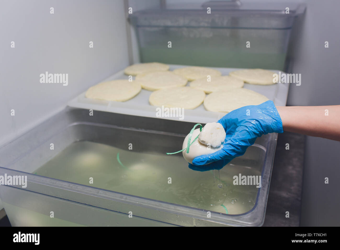 Production process of mozzarella cheese, cheese making process Stock ...