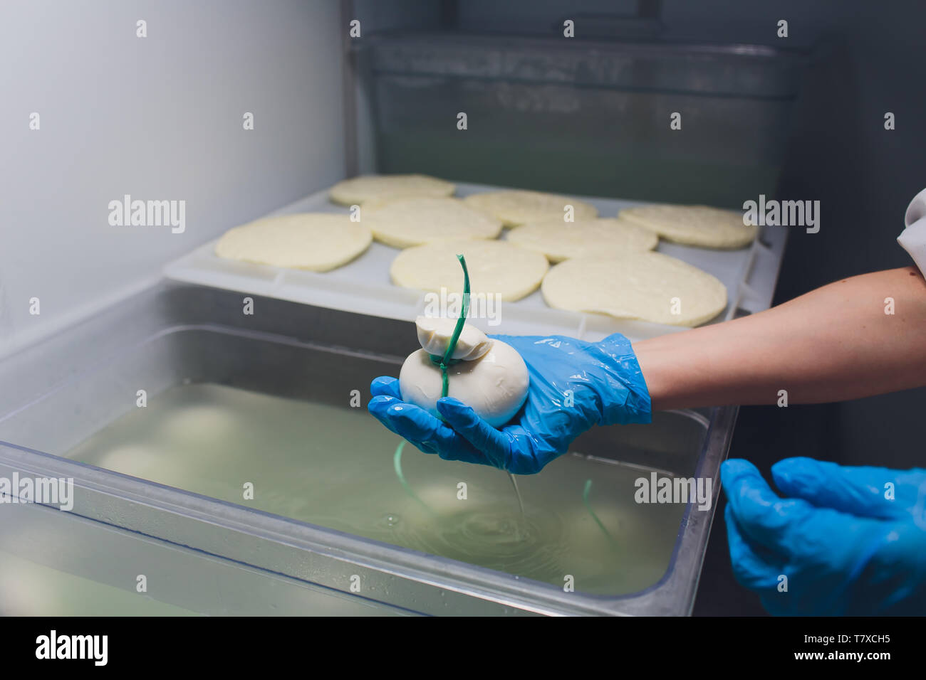 Production process of mozzarella cheese, cheese making process Stock ...