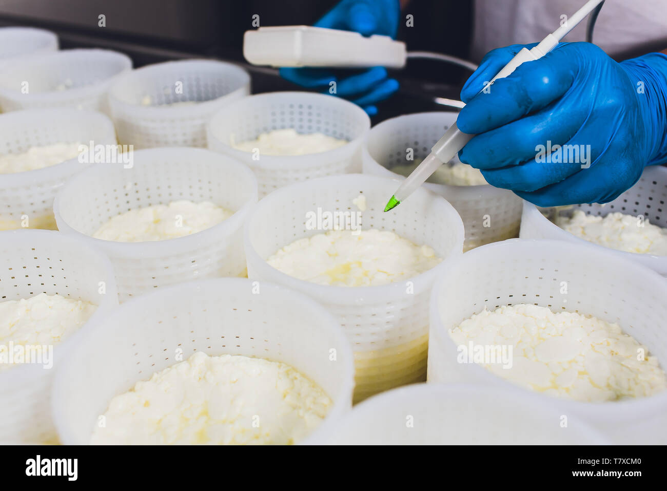 Close-up of a man forming cheese into the plastic molds at the small ...