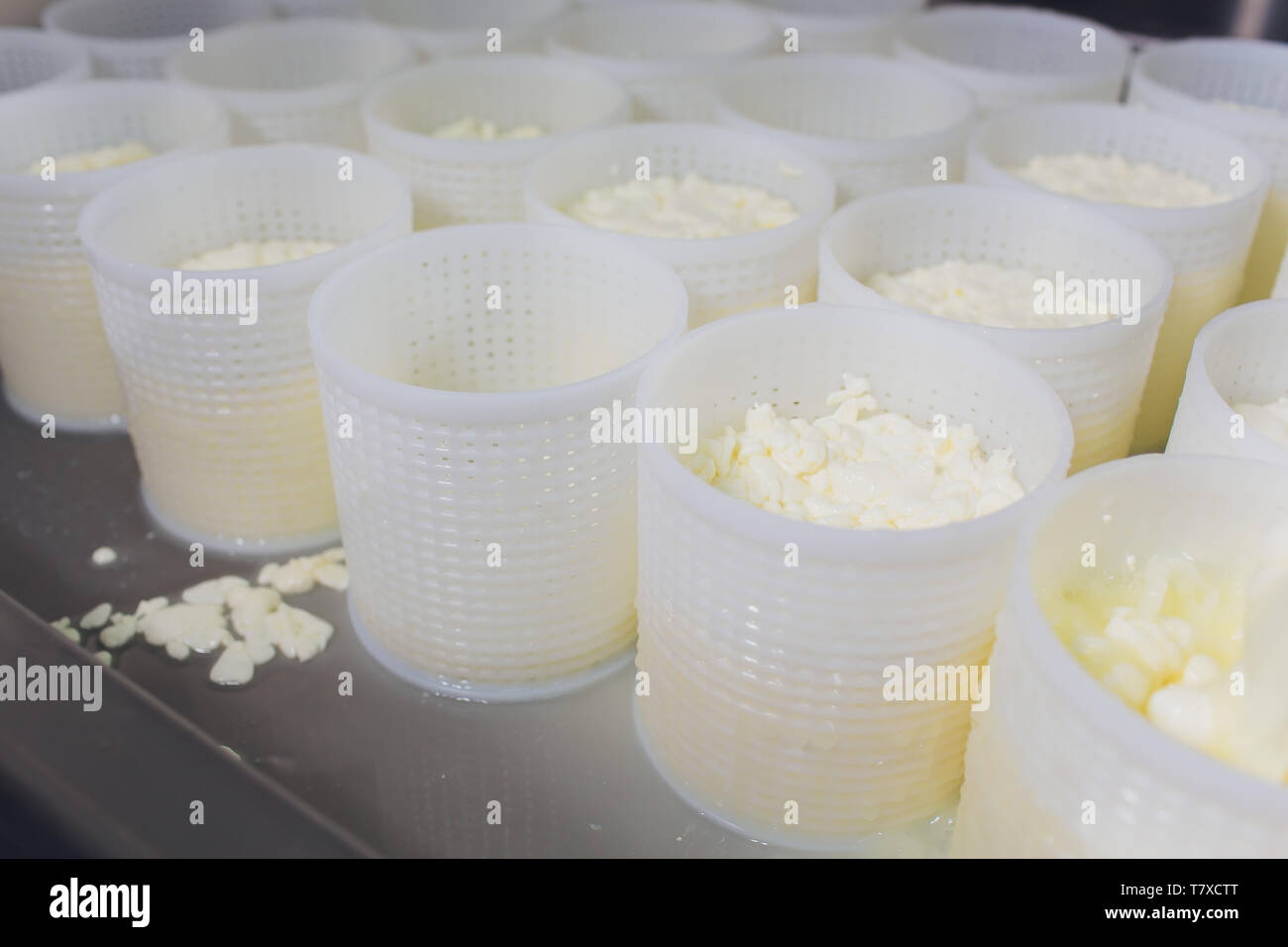 Close-up of a man forming cheese into the plastic molds at the small ...