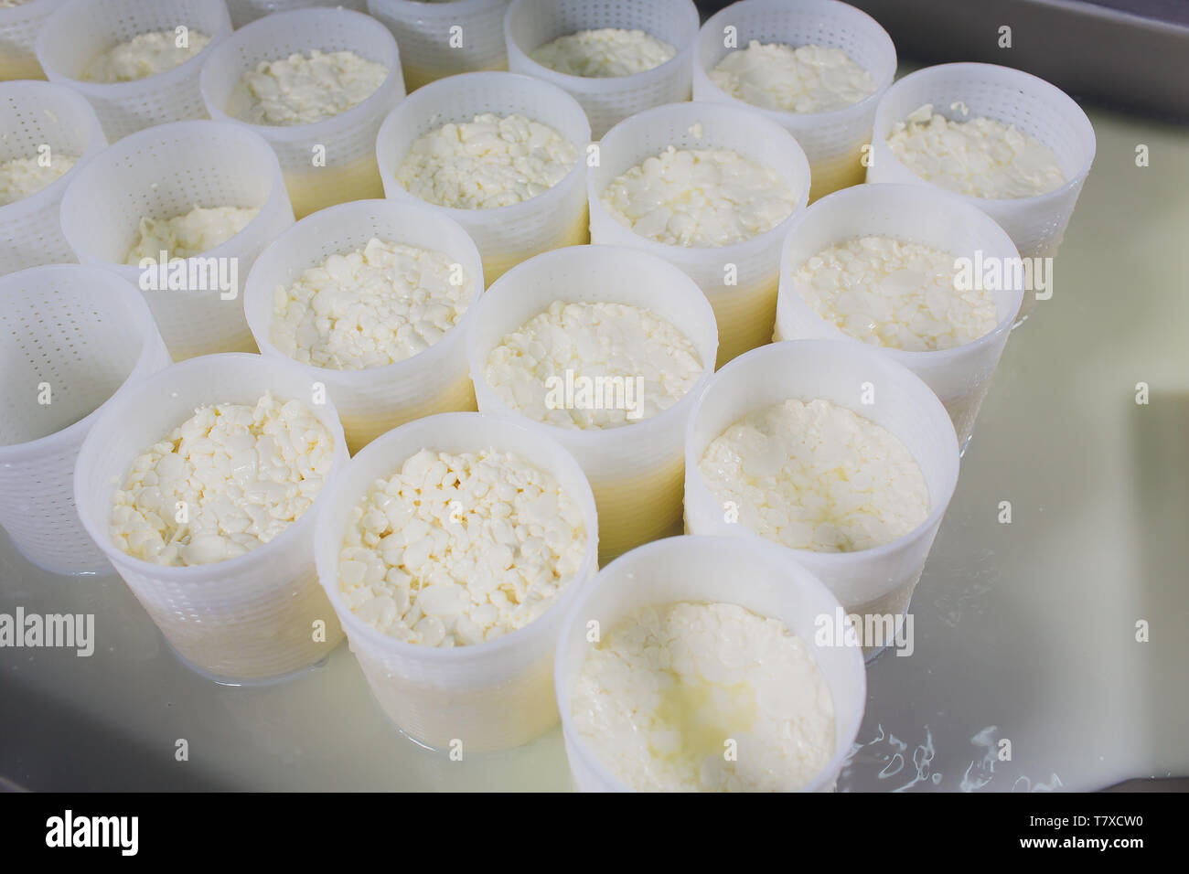 Close-up of a man forming cheese into the plastic molds at the small ...