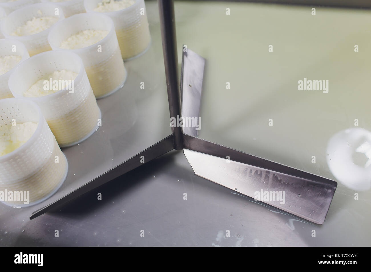 Close-up of a man forming cheese into the plastic molds at the small ...
