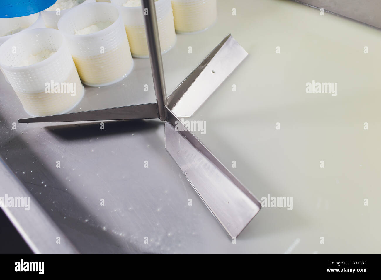 Close-up of a man forming cheese into the plastic molds at the small ...