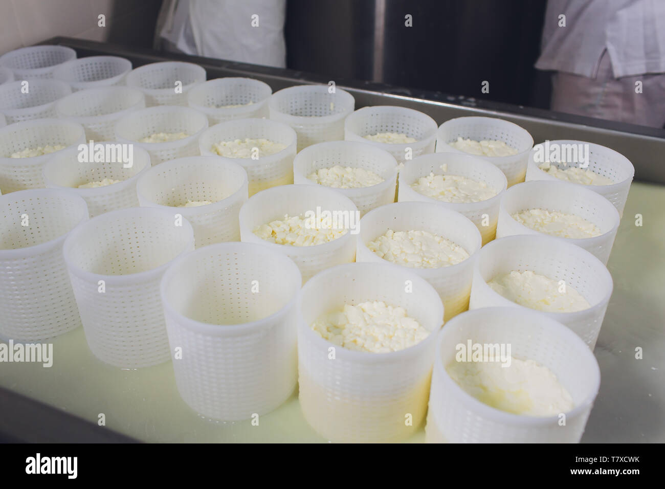 Close-up of a man forming cheese into the plastic molds at the small ...