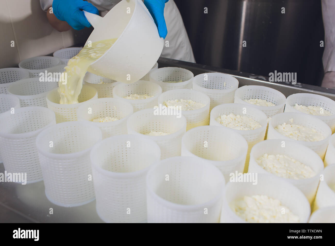 Close-up of a man forming cheese into the plastic molds at the small ...