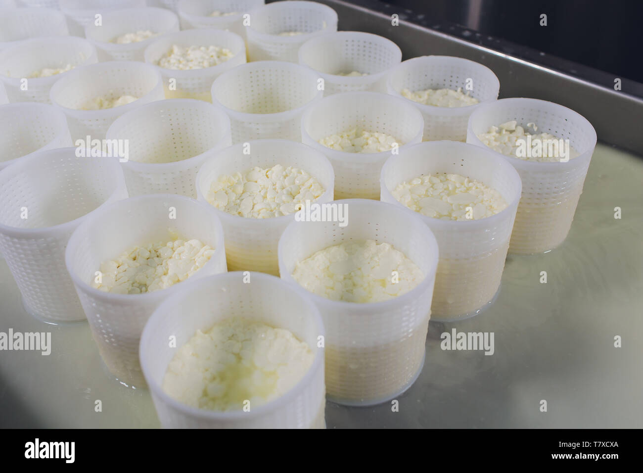 Close-up of a man forming cheese into the plastic molds at the small ...
