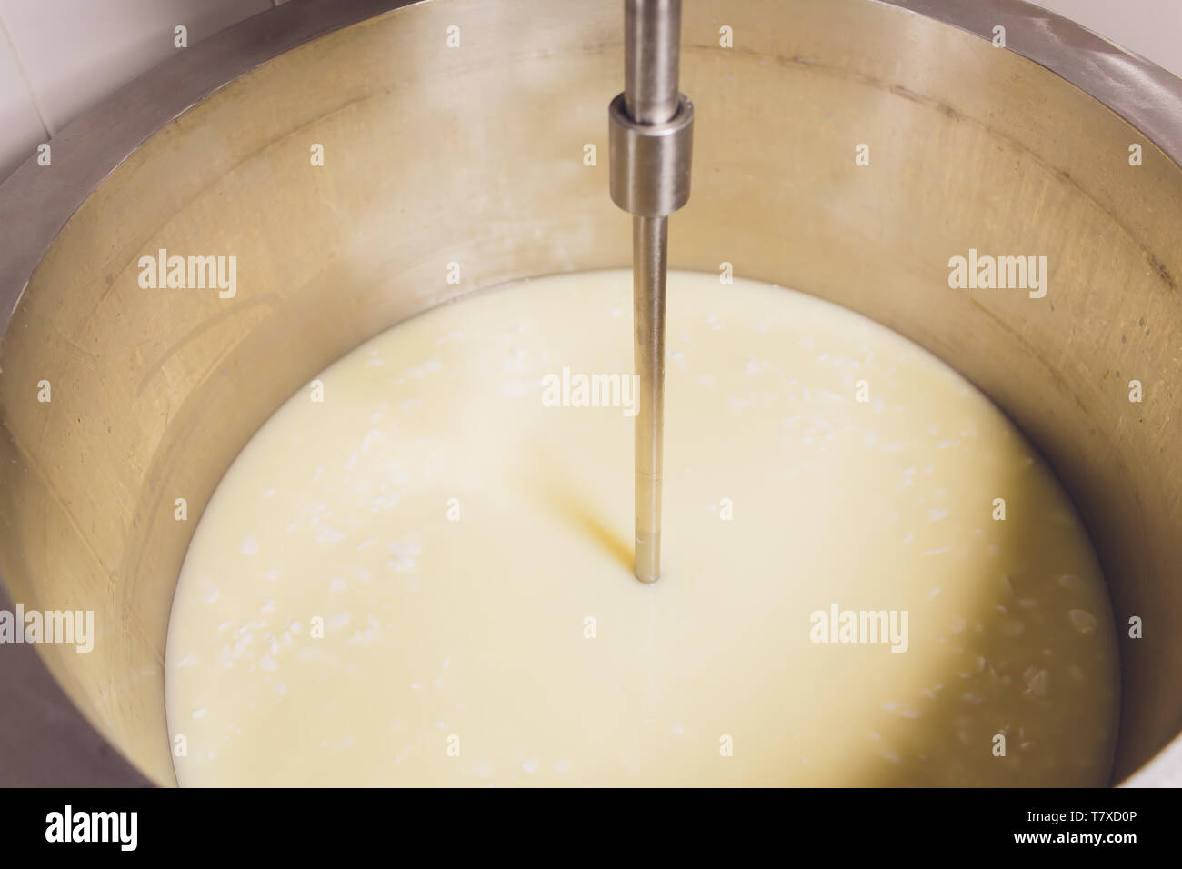 curdled milk brought to high temperature for the production of cheese ...