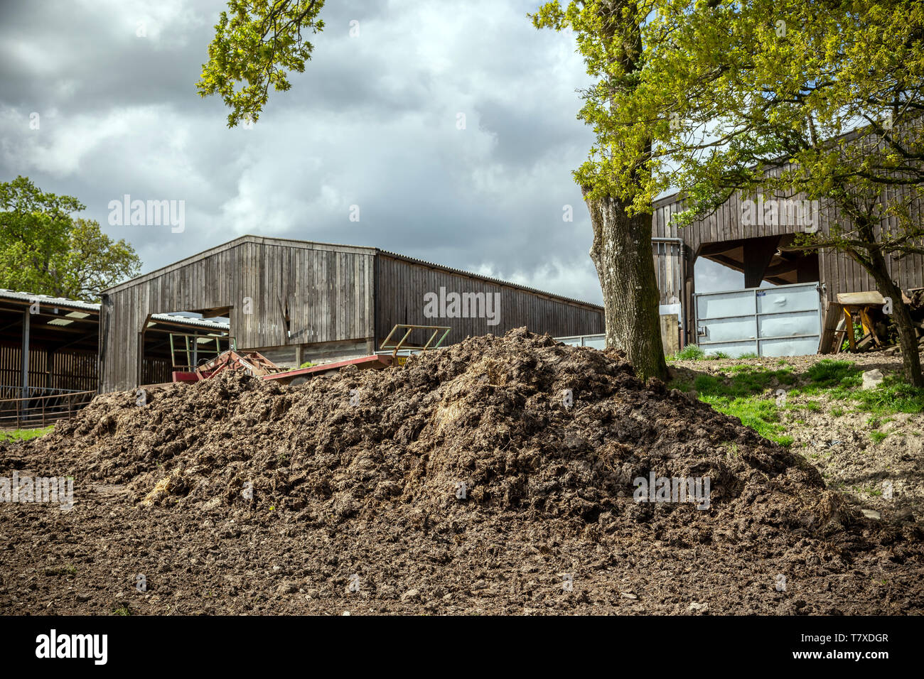Farm, Devon, Agricultural Field, Agriculture, Animal, Blue, Cloud - Sky ...