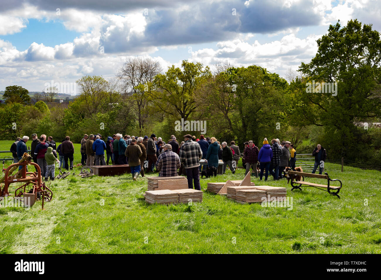 Farm, Devon, Agricultural Field, Agriculture, Animal, Blue, Cloud - Sky ...