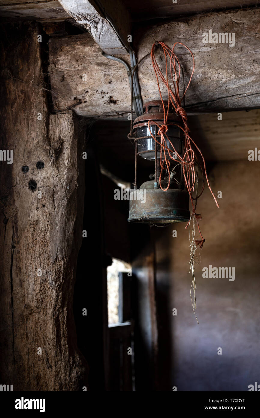 medieval post and beam,Farmer, Portrait, Dairy Farm, Cow, UK, Cattle ...