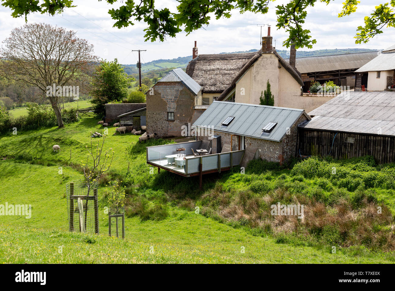 Farm, Devon, Agricultural Field, Agriculture, Animal, Blue, Cloud - Sky ...