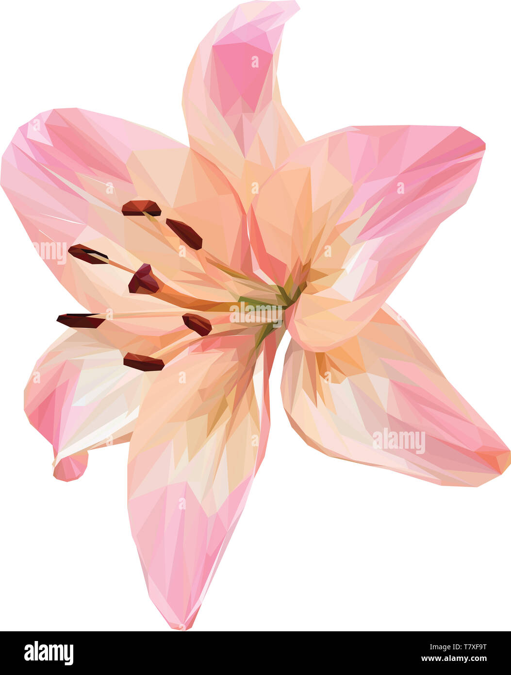 Low poly illustration of a pink lily Stock Photo - Alamy
