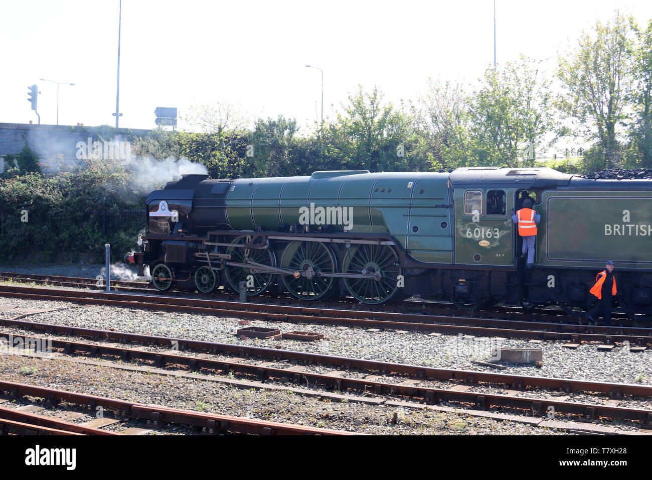 The 60163 Tornado steam locomotive hauling the Ynys mon express from ...