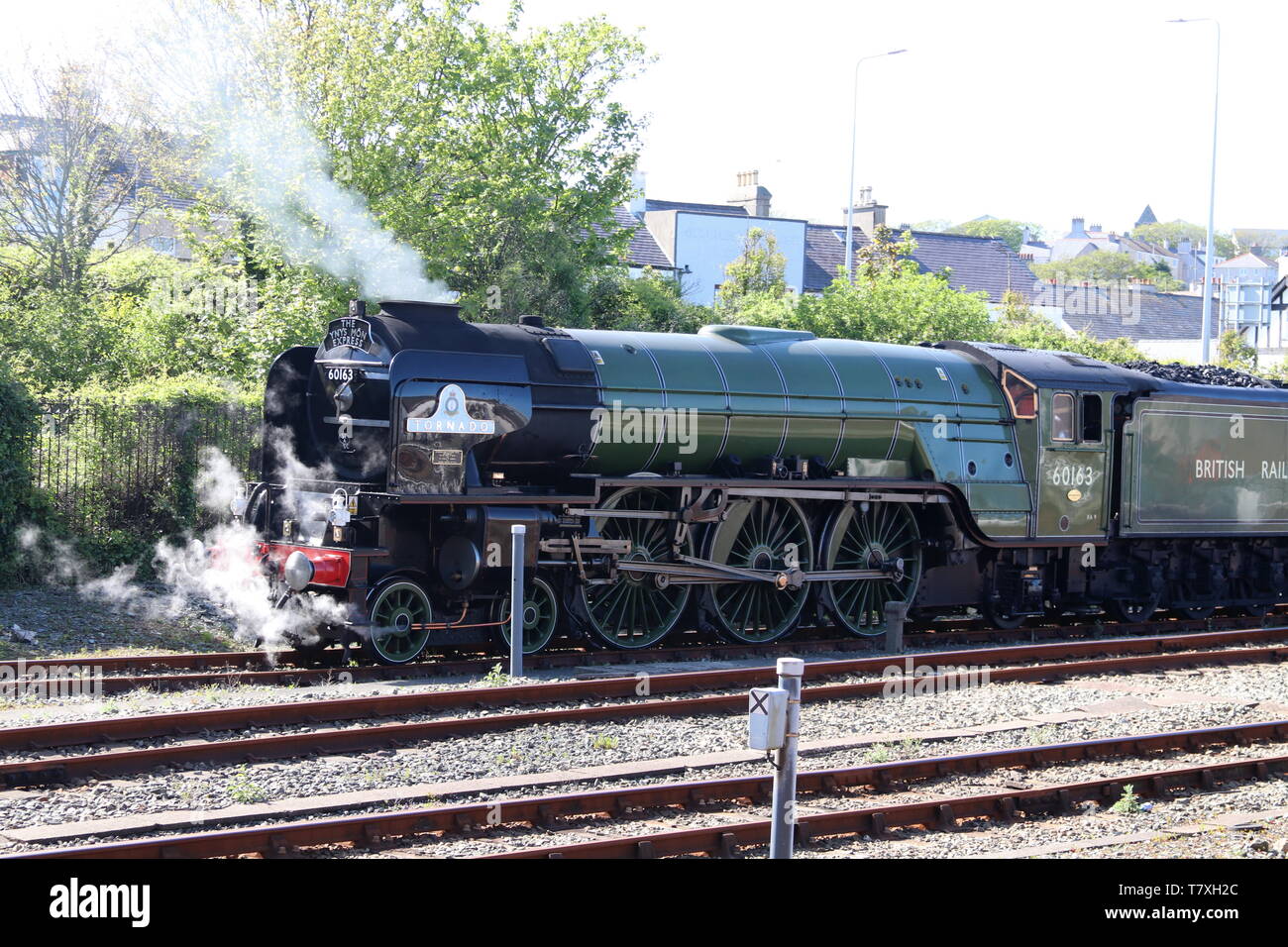 The 60163 Tornado steam locomotive hauling the Ynys mon express from ...