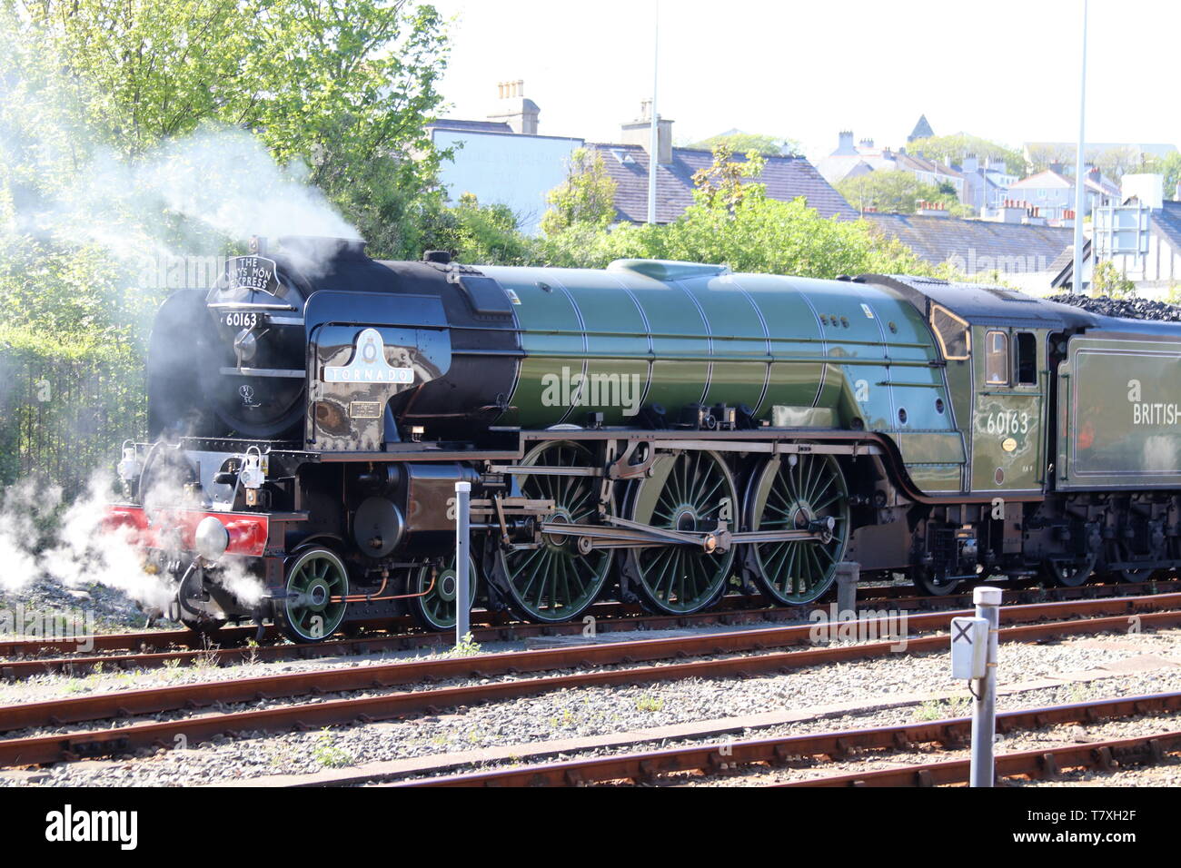 The 60163 Tornado steam locomotive hauling the Ynys mon express from ...