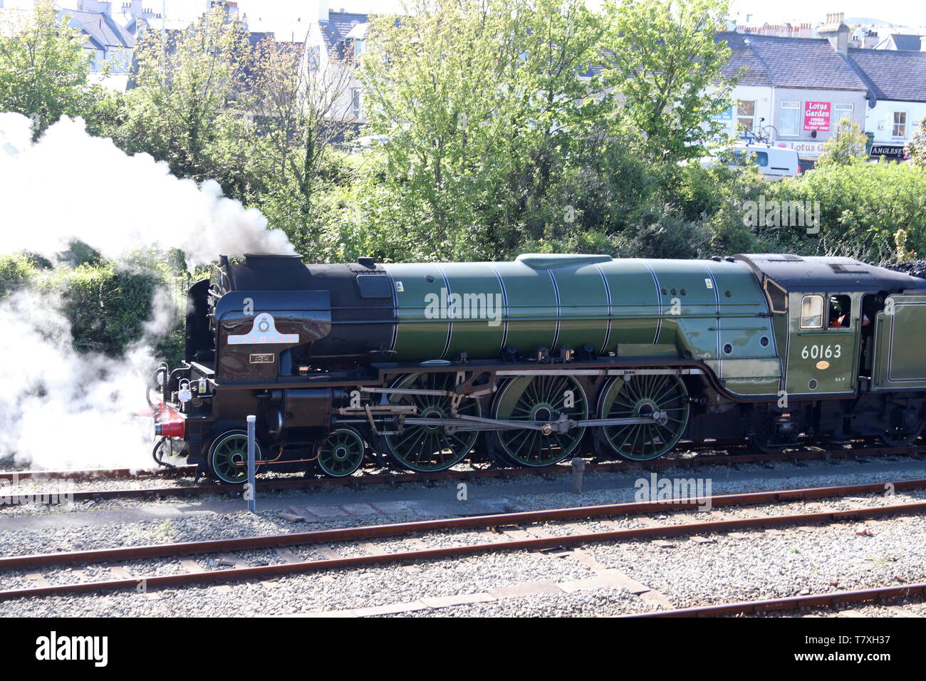 The 60163 Tornado steam locomotive hauling the Ynys mon express from ...
