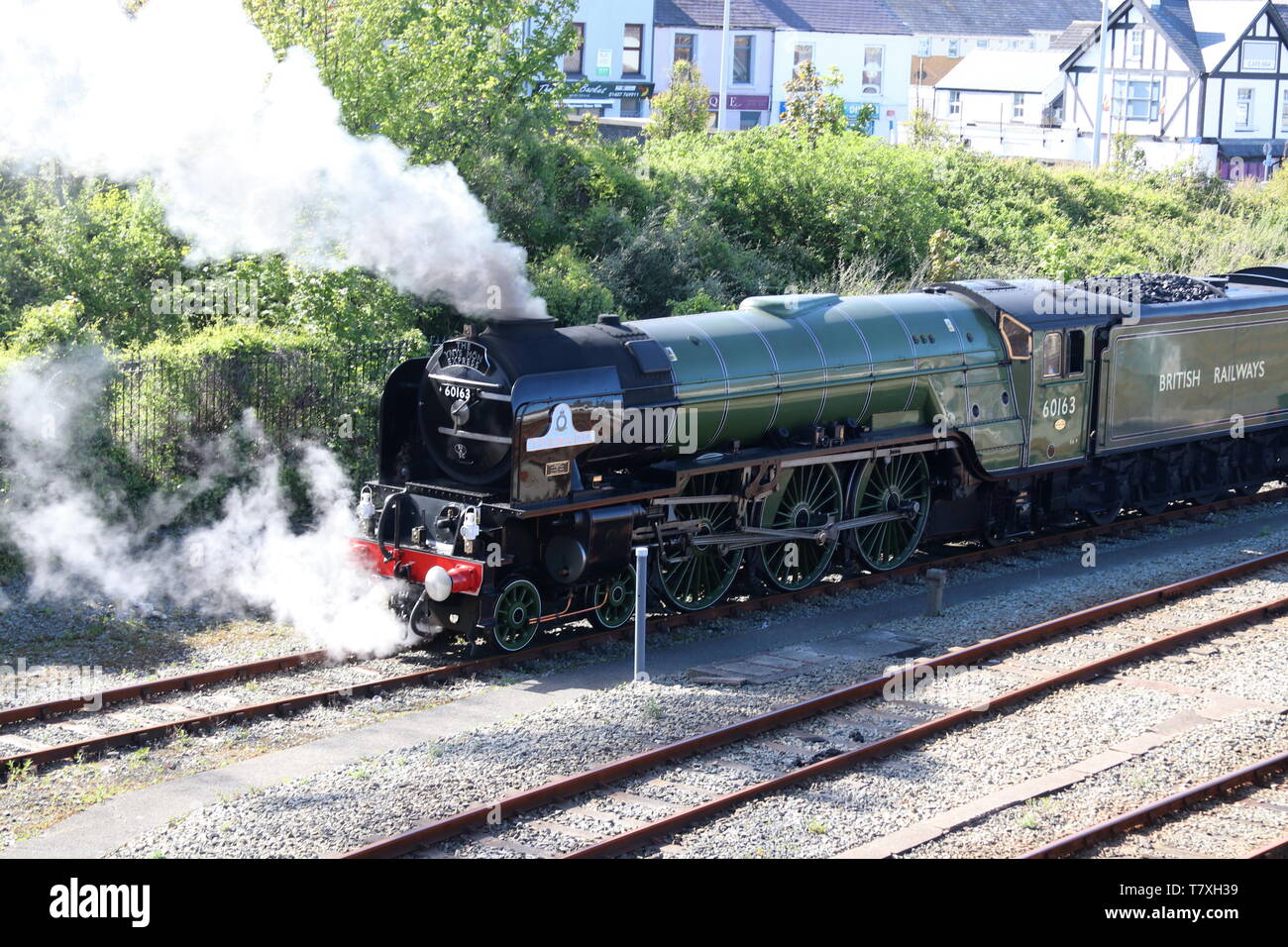 The 60163 Tornado steam locomotive hauling the Ynys mon express from ...