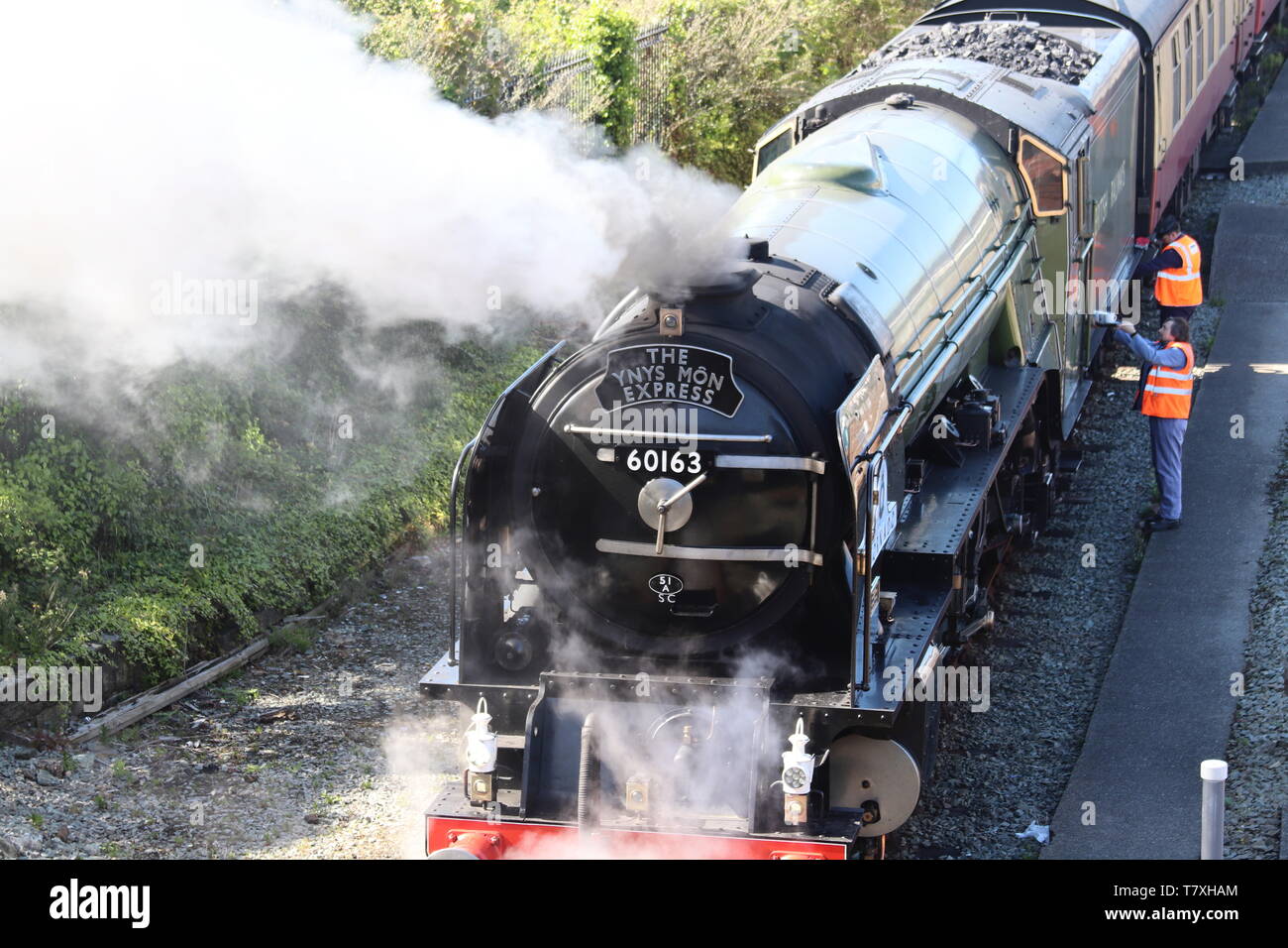 The 60163 Tornado steam locomotive hauling the Ynys mon express from ...