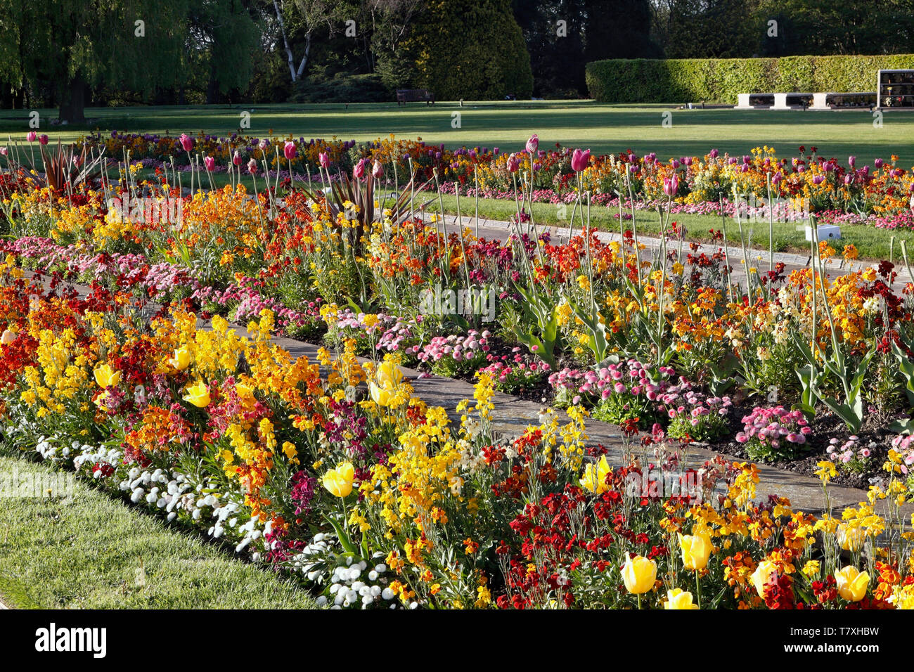 Spring flowers in bloom in garden of remembrance flower display blossom ...