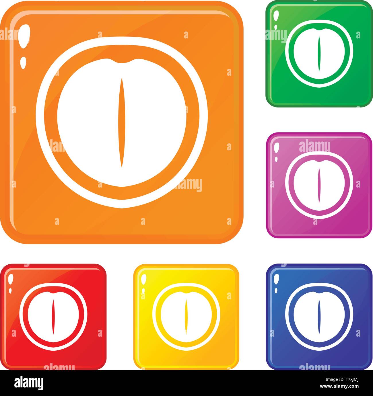 Macadamia nut icons set vector color Stock Vector Image & Art - Alamy