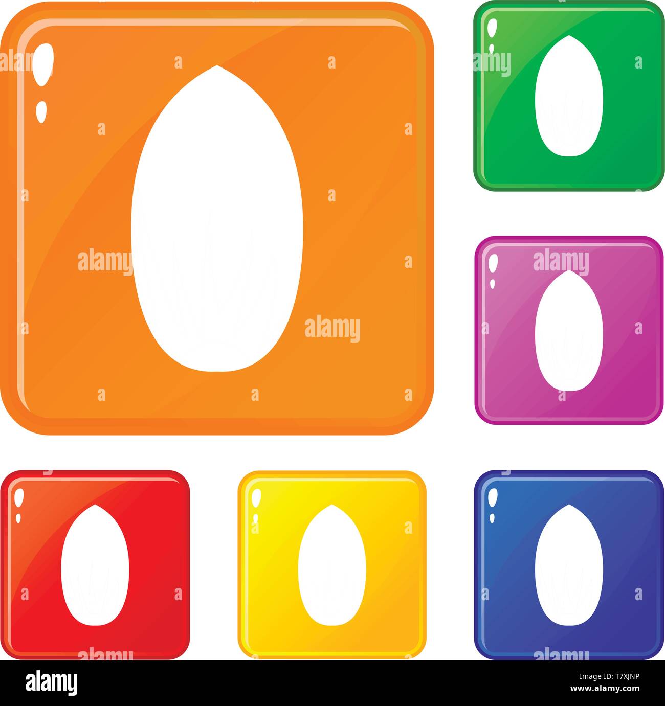 Pecan nut icons set vector color Stock Vector Image & Art - Alamy
