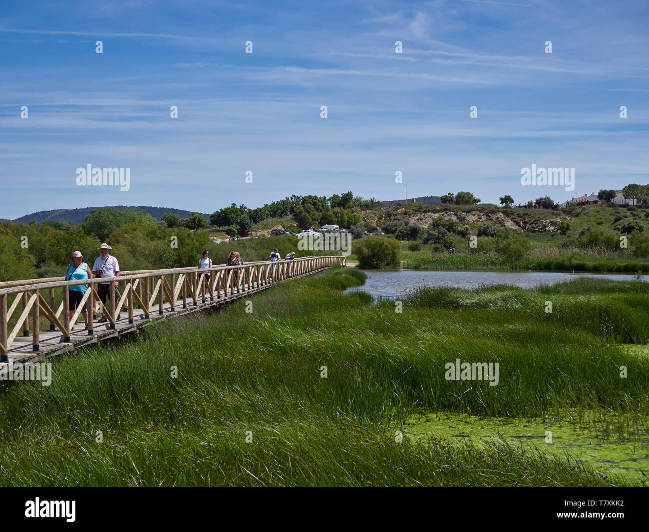 Visitors walking on the wooden Footpath across the Salt water lagoon at ...
