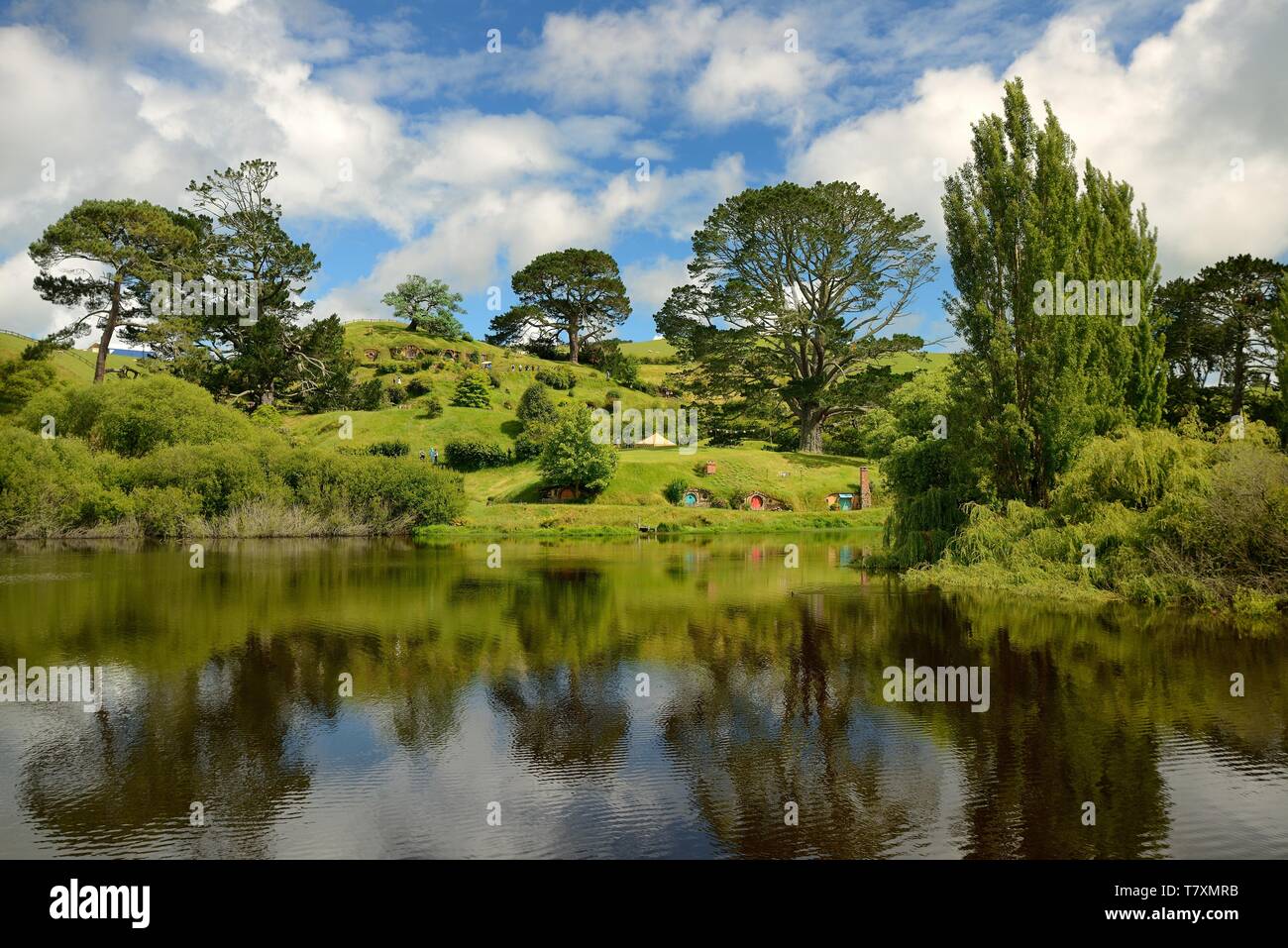 Middle Earth Scenery