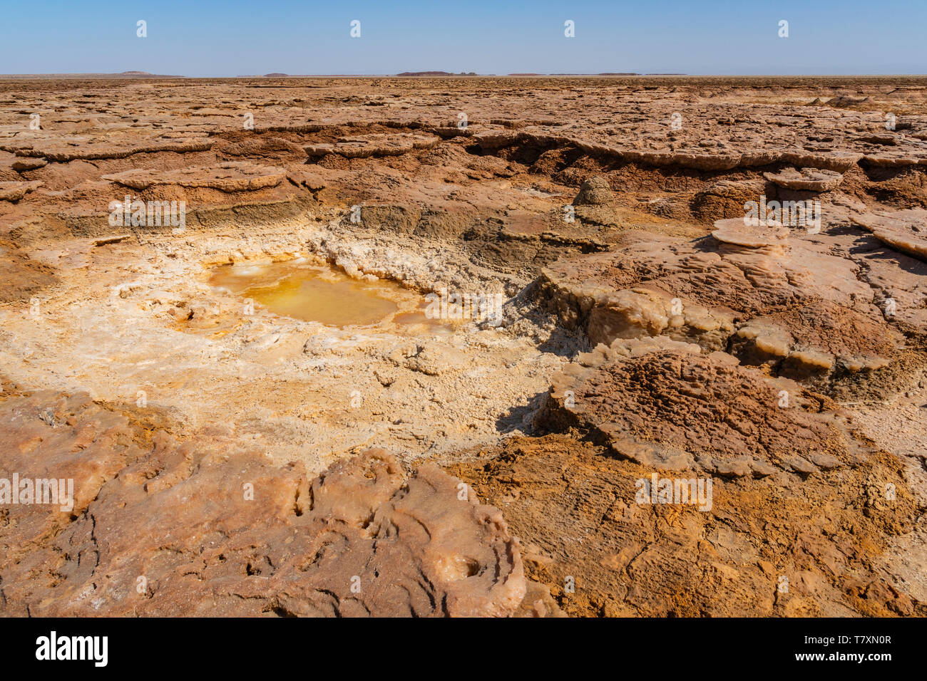 Acid bubbling pond in the Danakil depression in Ethiopia in Africa ...