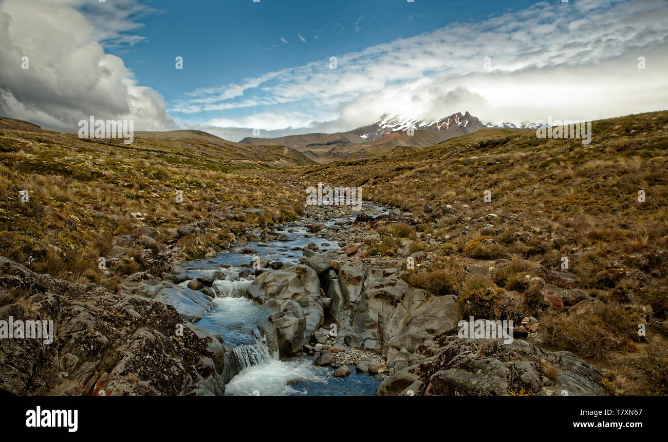 Landscape New Zealand - National Park Tongariro with active volcanos ...