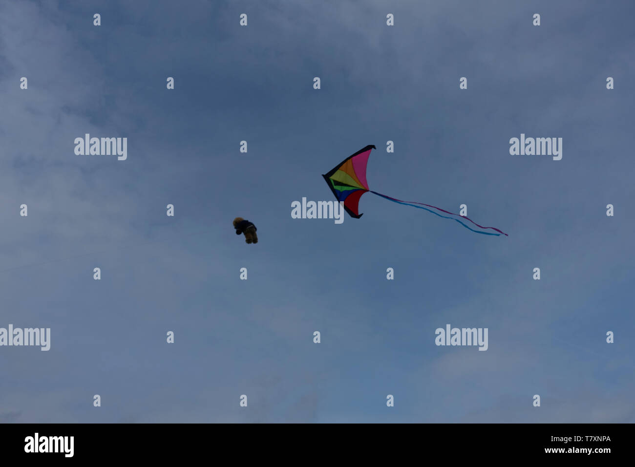 High flying bear hi-res stock photography and images - Alamy