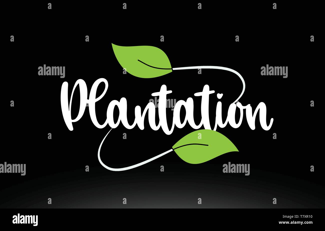 Plantation word or text with green leaf on black background suitable ...