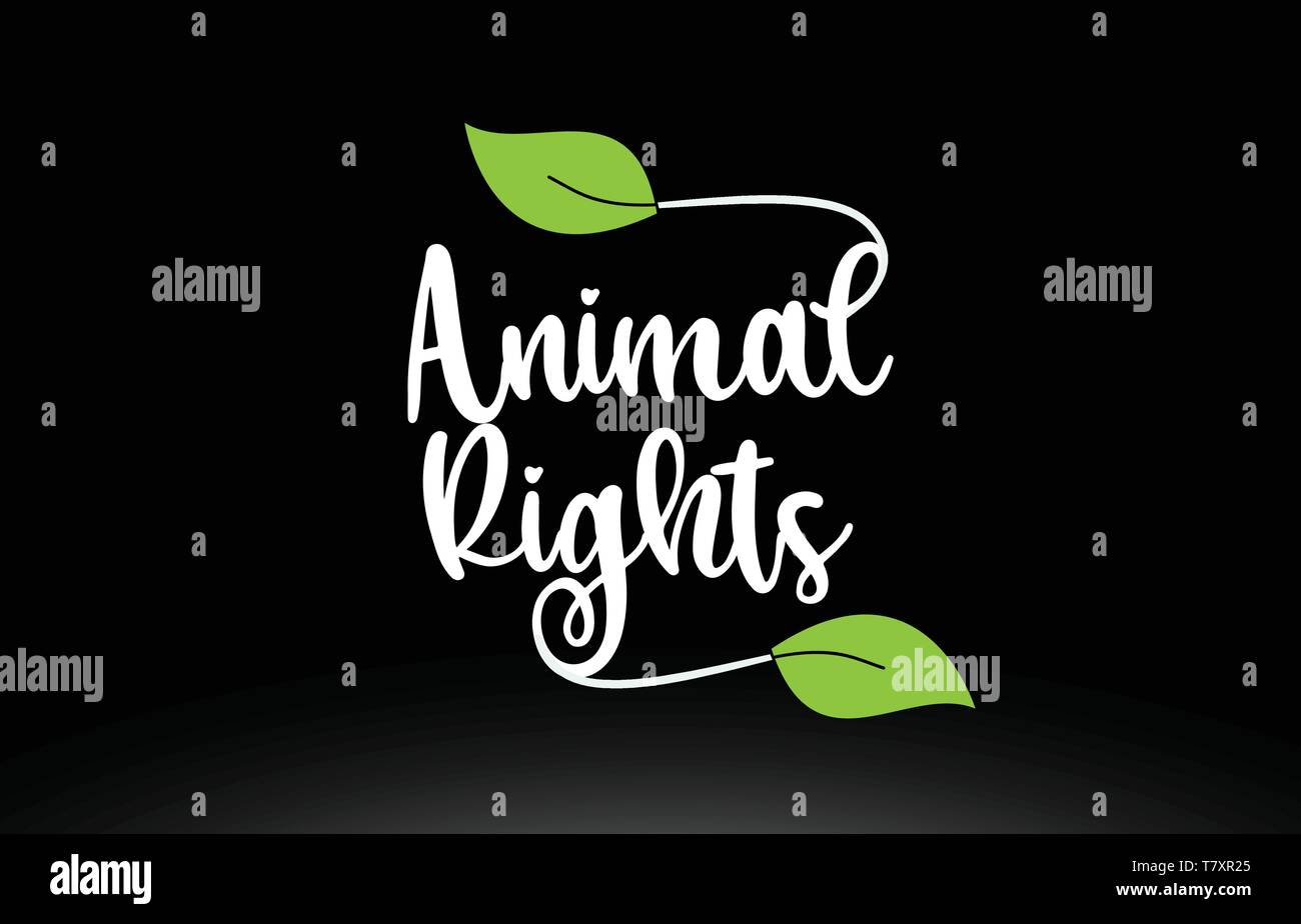 Rights word hi-res stock photography and images - Alamy