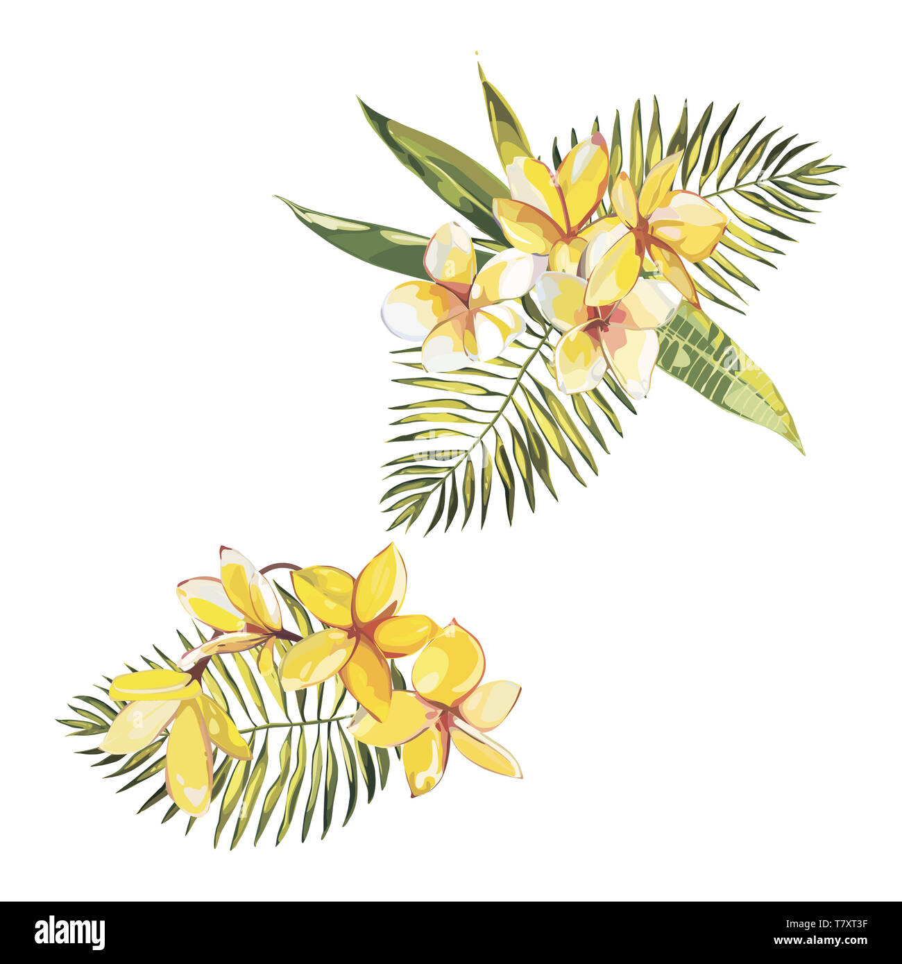 Banner, poster with plumeria flowers, jungle leaf. Beautiful floral ...