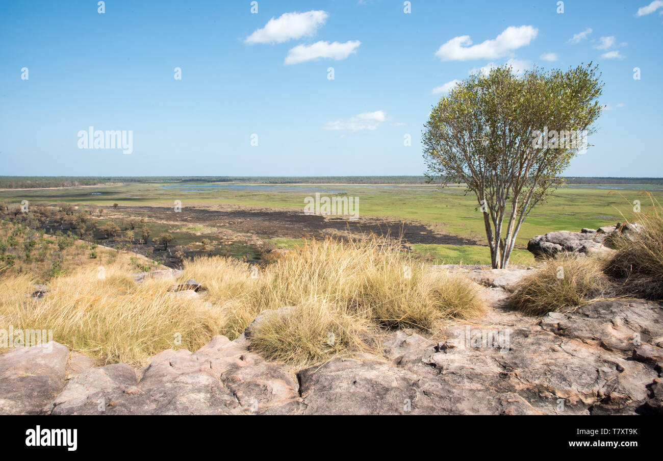 Stunning view from Ubirr Rock over the natural bushland with sandstone ...
