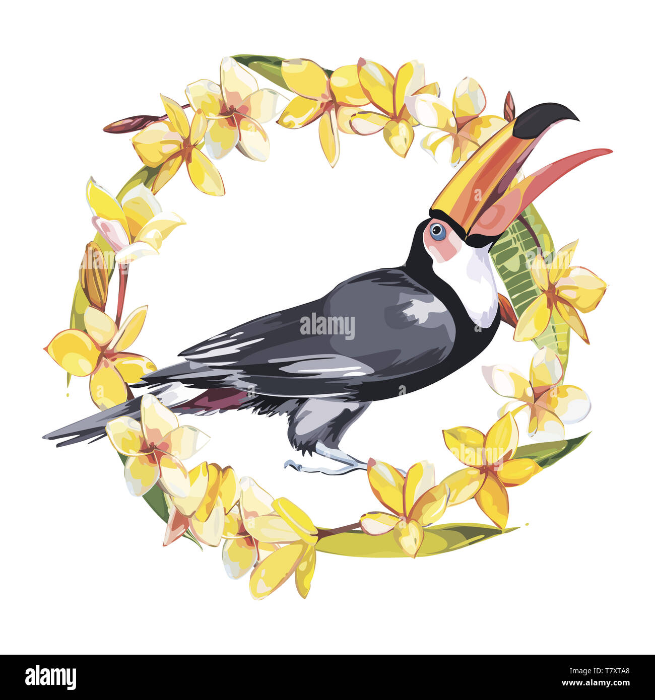 Toucan with tropical flowers. Element for design of invitations, movie ...