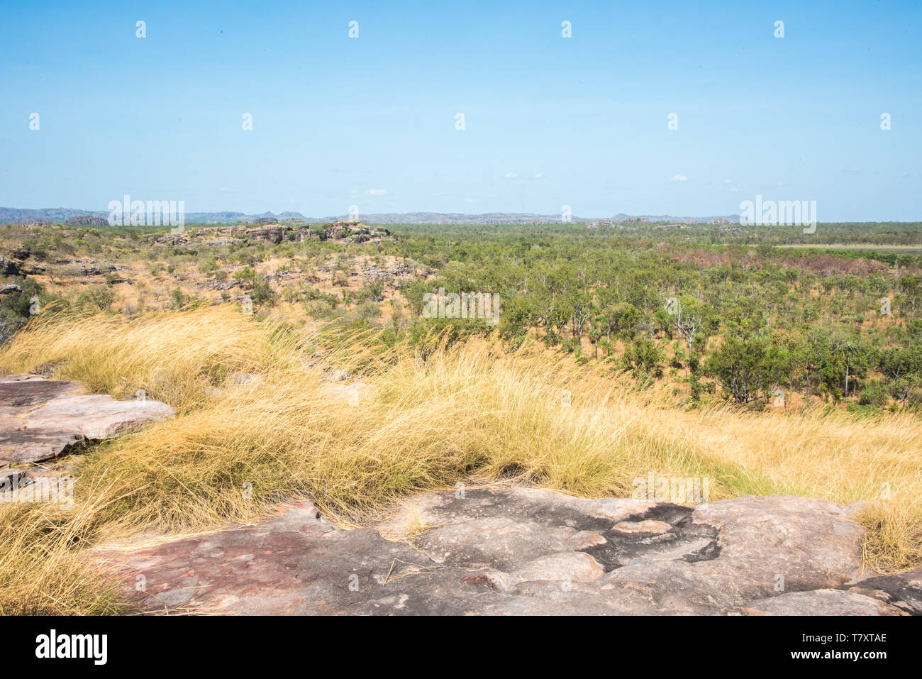Stunning view from Ubirr Rock over the natural bushland with sandstone ...