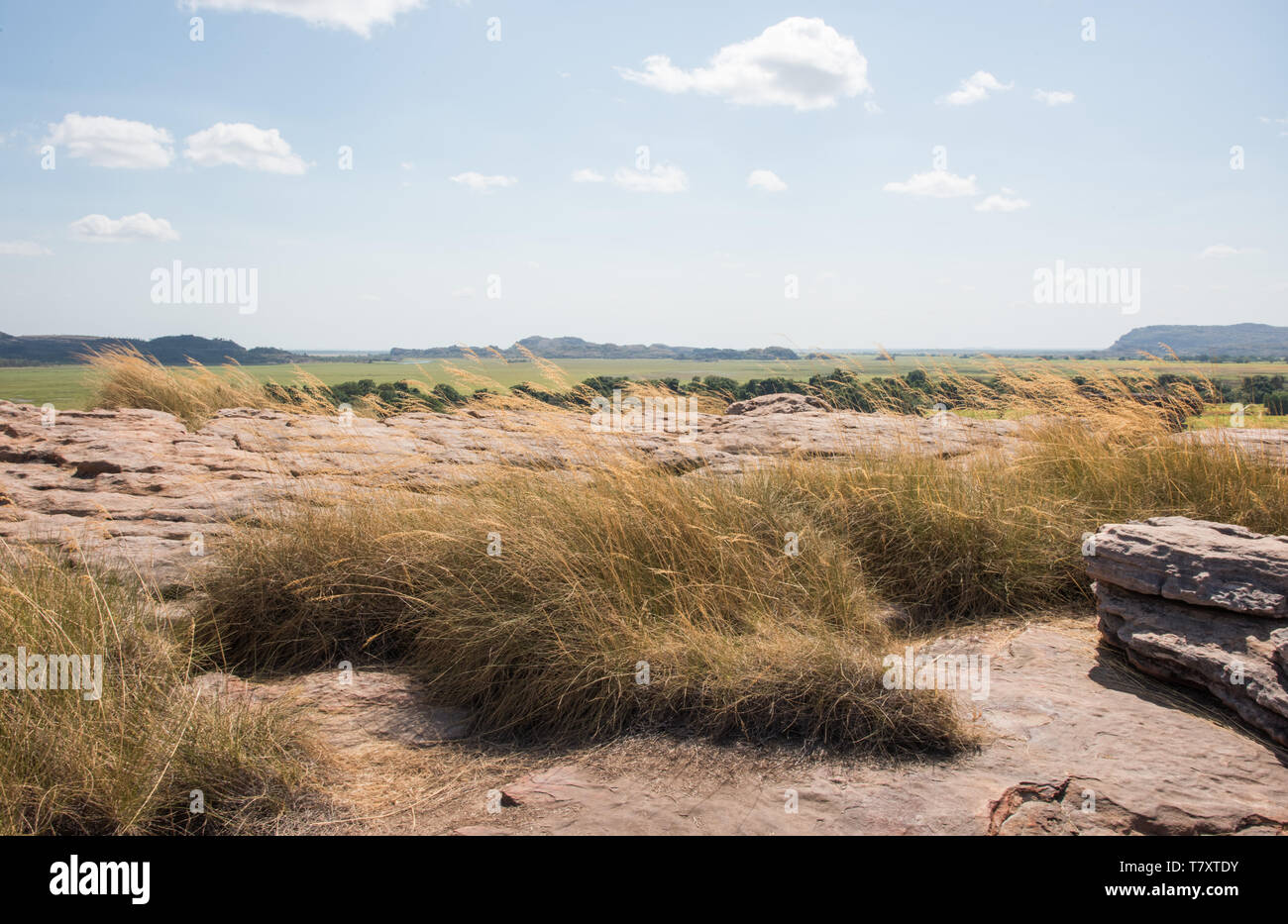 Stunning view from Ubirr Rock over the natural bushland with sandstone ...