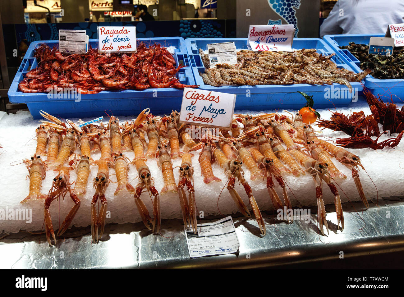 Fish shellfish hi-res stock photography and images - Alamy