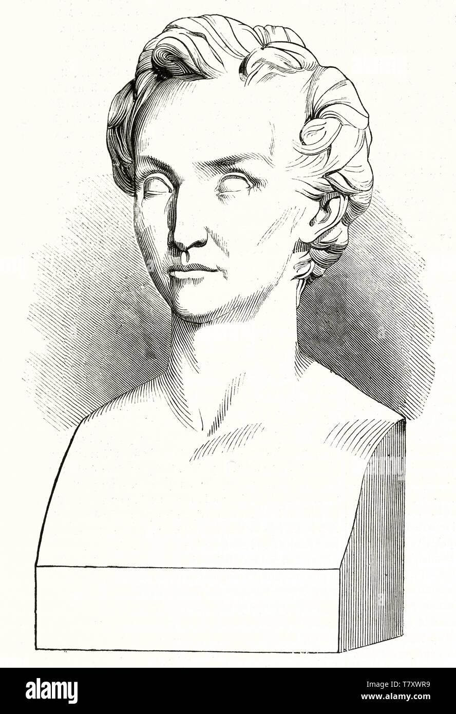 Reproduction of Casimir Delavigne head and part of bust from the ...