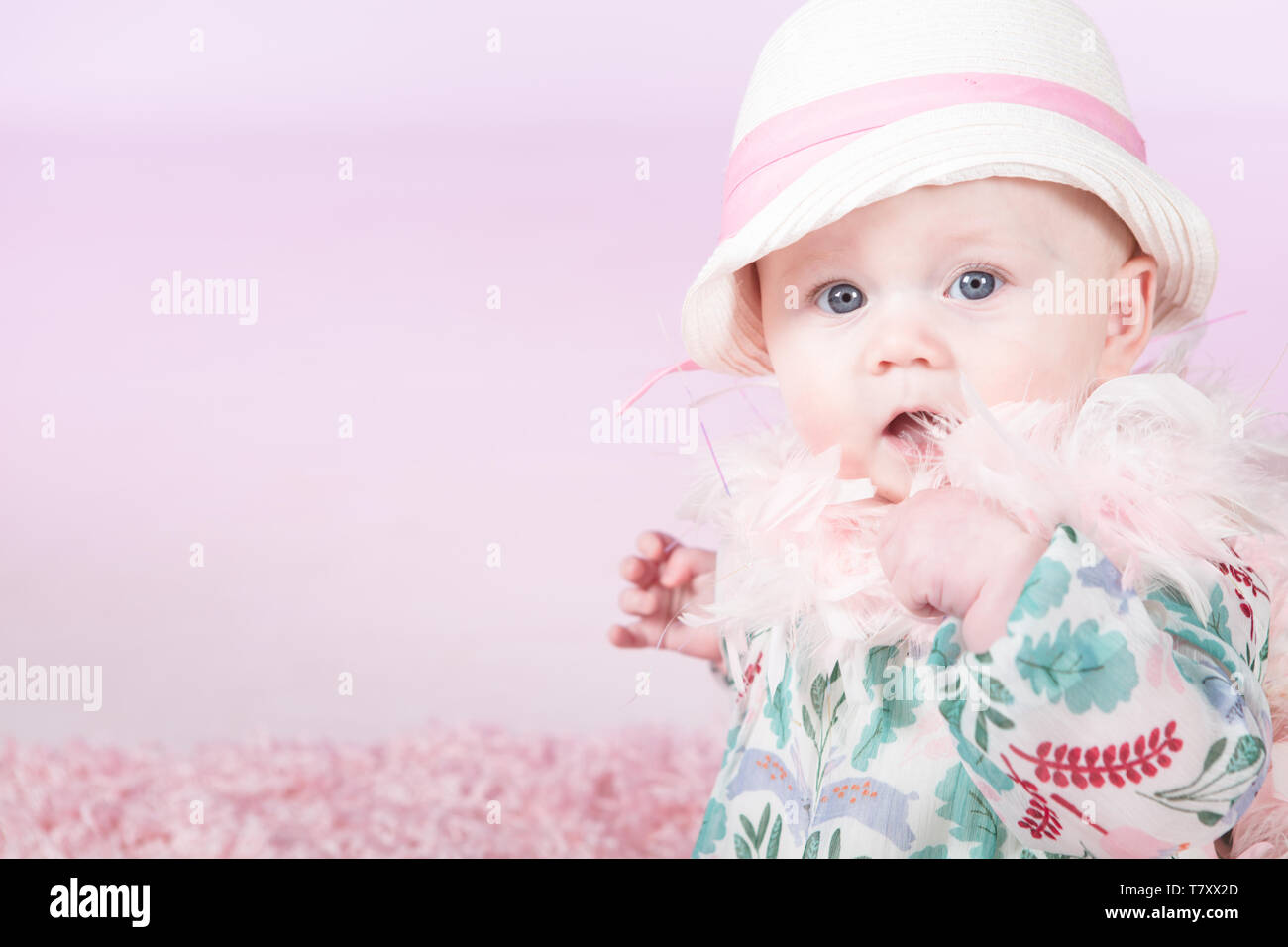 close up of 6 month old baby girl on pink backdrop Stock Photo - Alamy