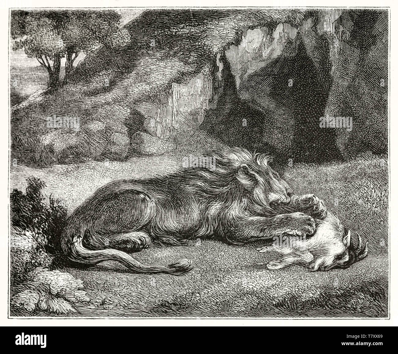 Old grayscale etching style illustration rich of hatching texture of a ...