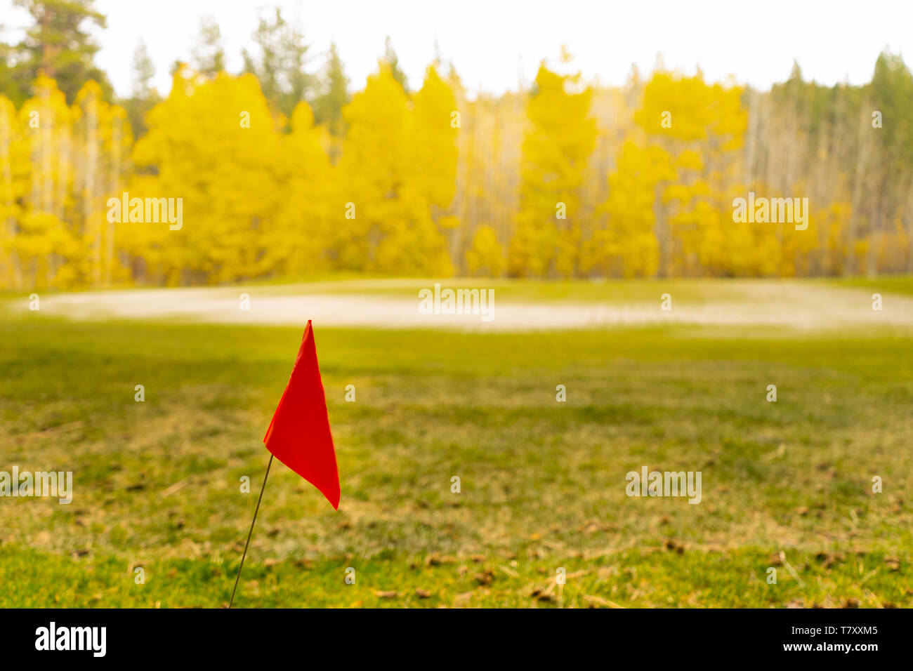 Red Flag On The Golf Course High Resolution Stock Photography and ...