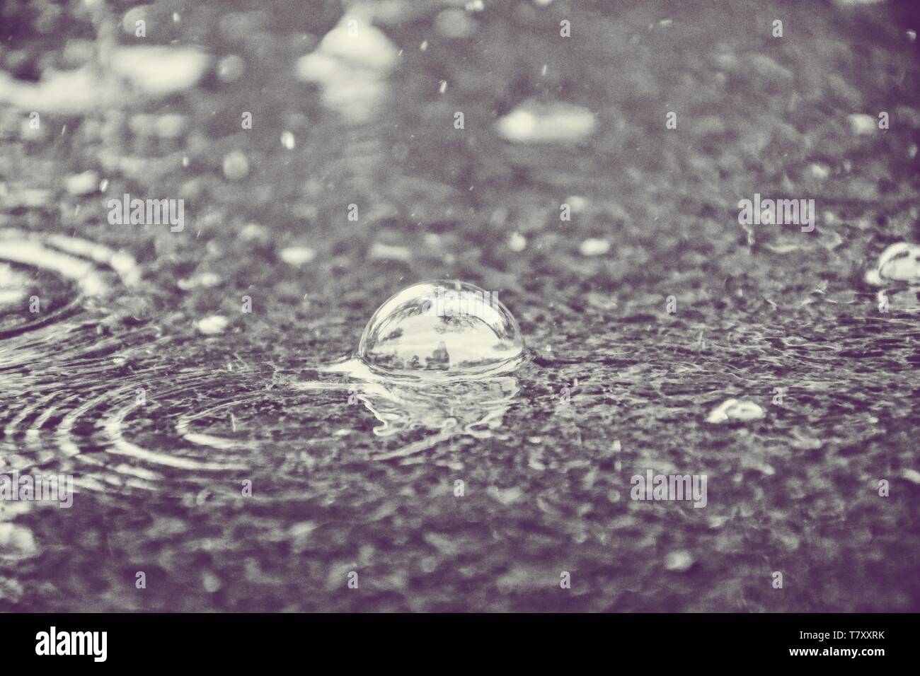 Rain droplets creating bubbles and puddles Stock Photo - Alamy