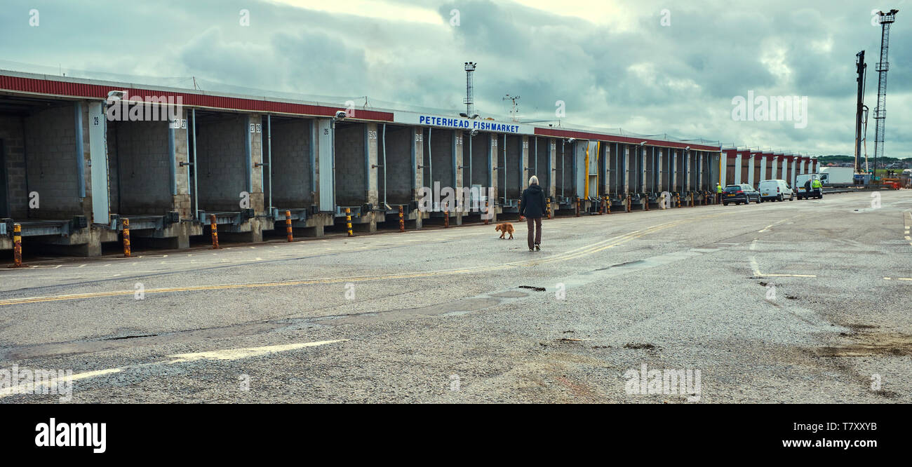 7th July 2017. Empty loading bays for the Peterhead Fishmarket ...