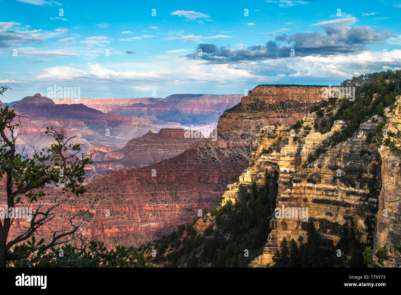 Grand canyon colors hi-res stock photography and images - Alamy