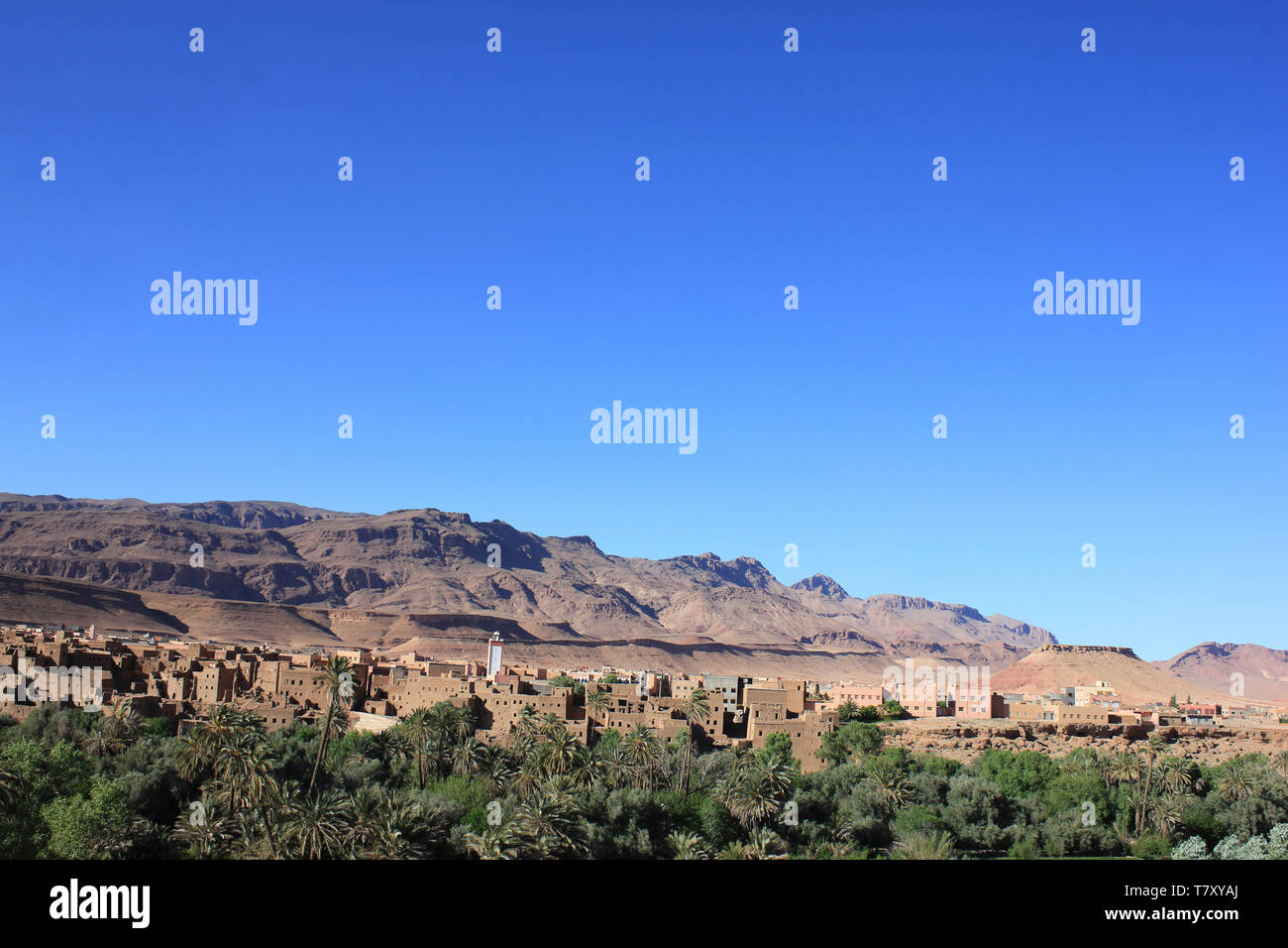 Tinghir Oasis with Atlas Mountains in Background, Morocco Stock Photo ...