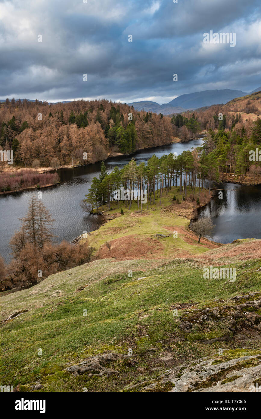 Beautiful evening landscape image of Tarn Hows in UK Lake District ...