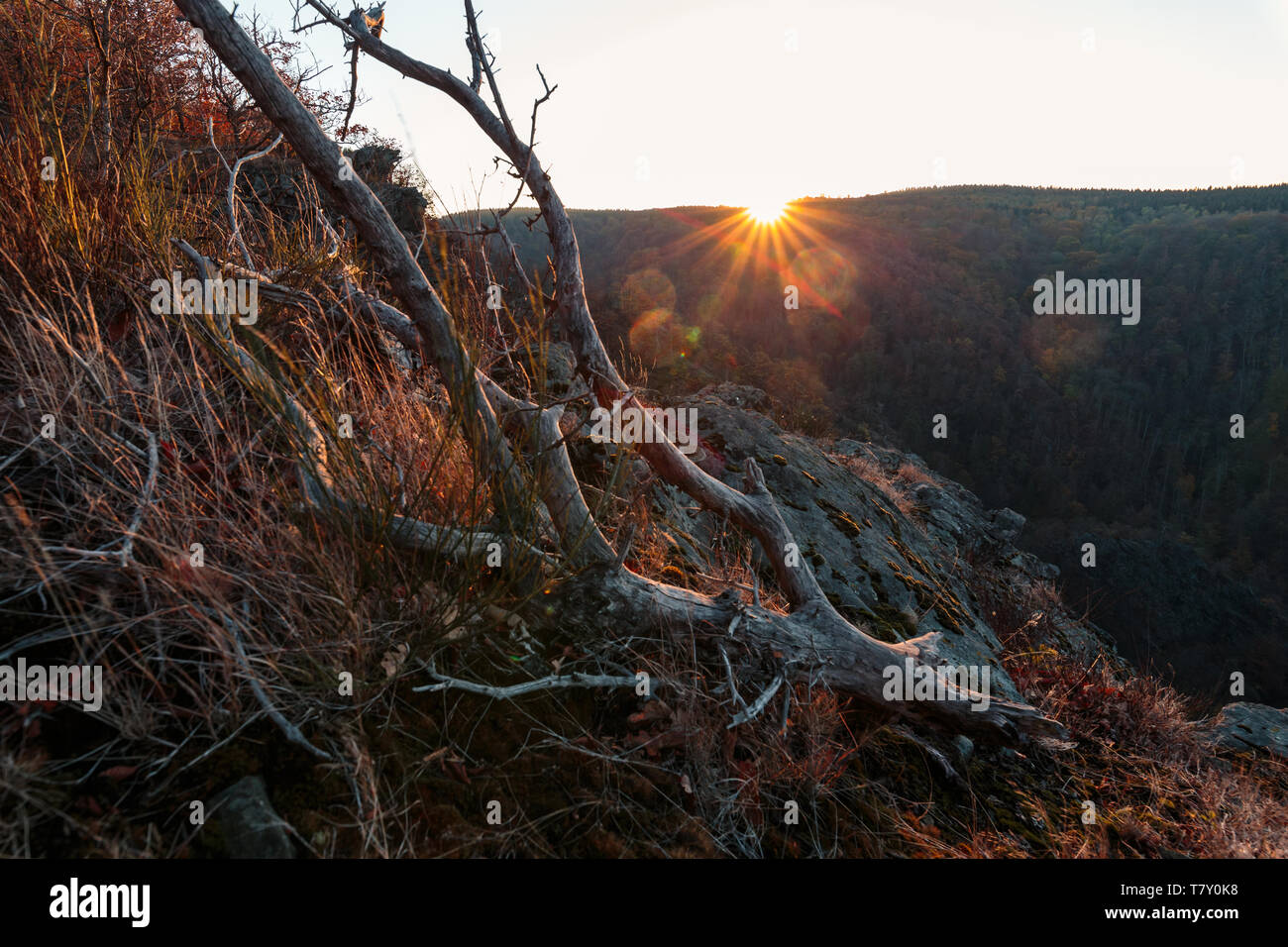 Cold sunrise in the Bode valley in the Harz mountains. Magnificent ...