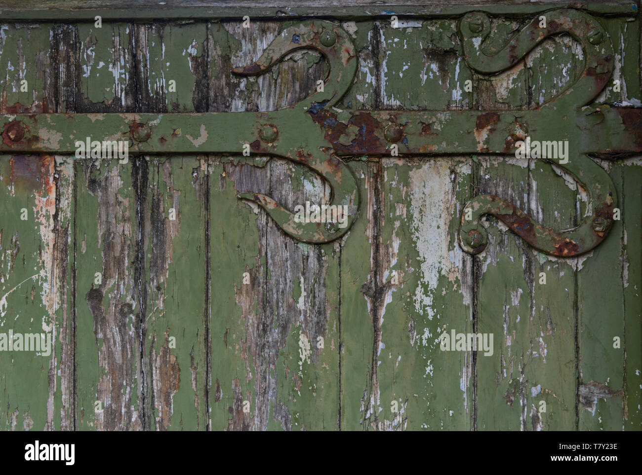 Decorative hinge and wooden door with distressed paintwork style Stock ...