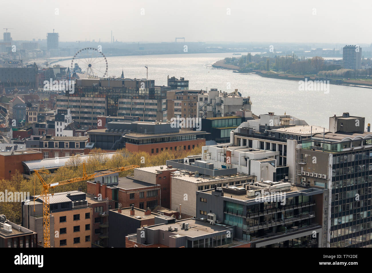 antwerpen belgium cityscape from above Stock Photo - Alamy